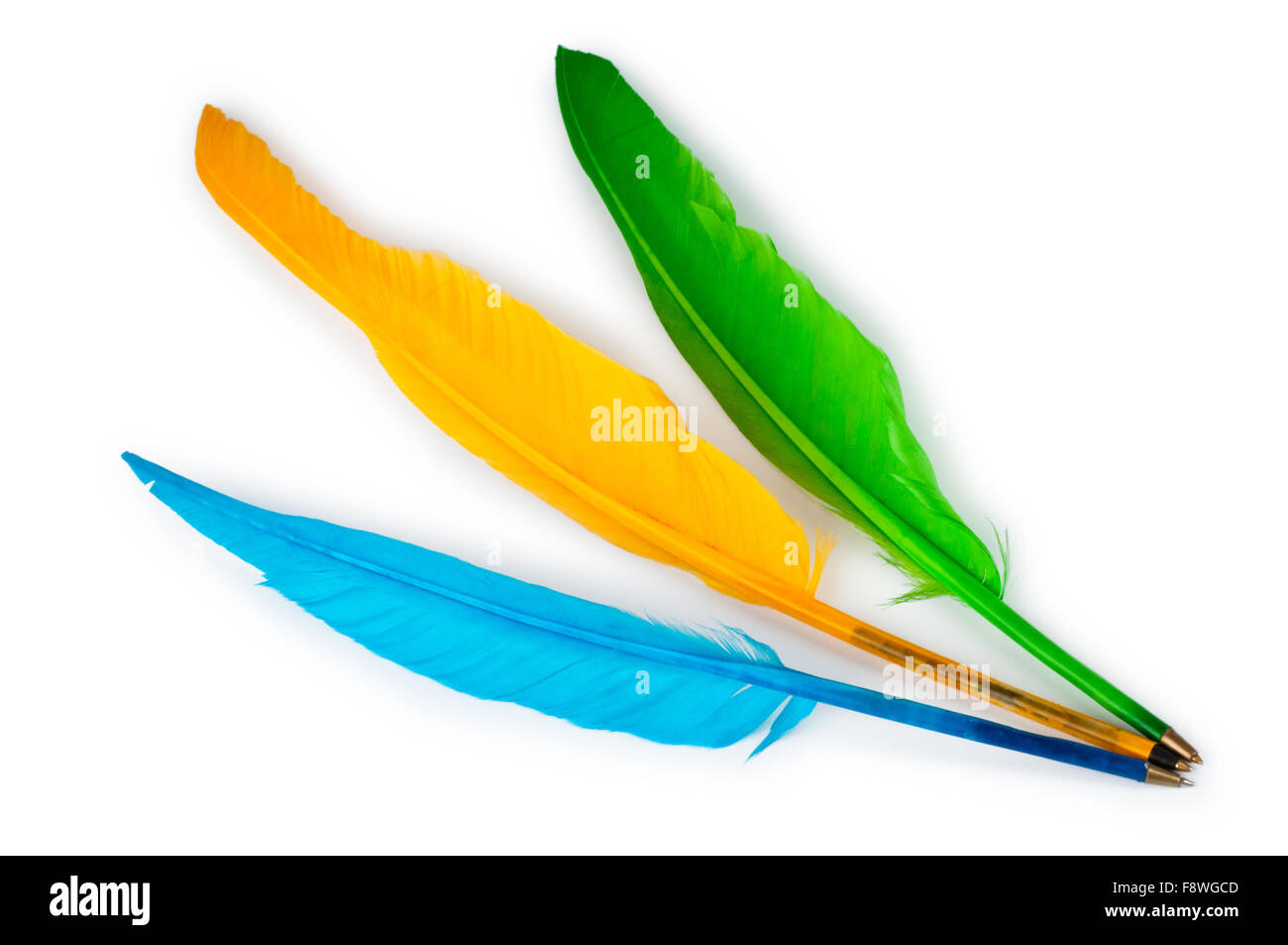 Writing feather isolated on the white background Stock Photo - Alamy