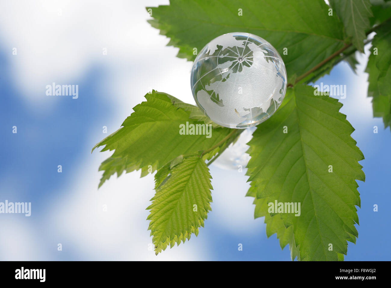 Ecology hi-res stock photography and images - Alamy