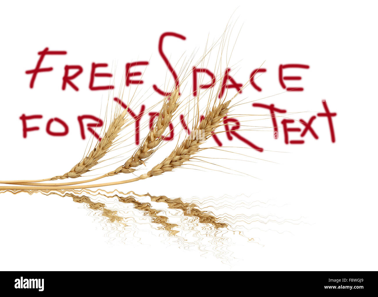 Wheat Isolated On White Stock Photo - Alamy
