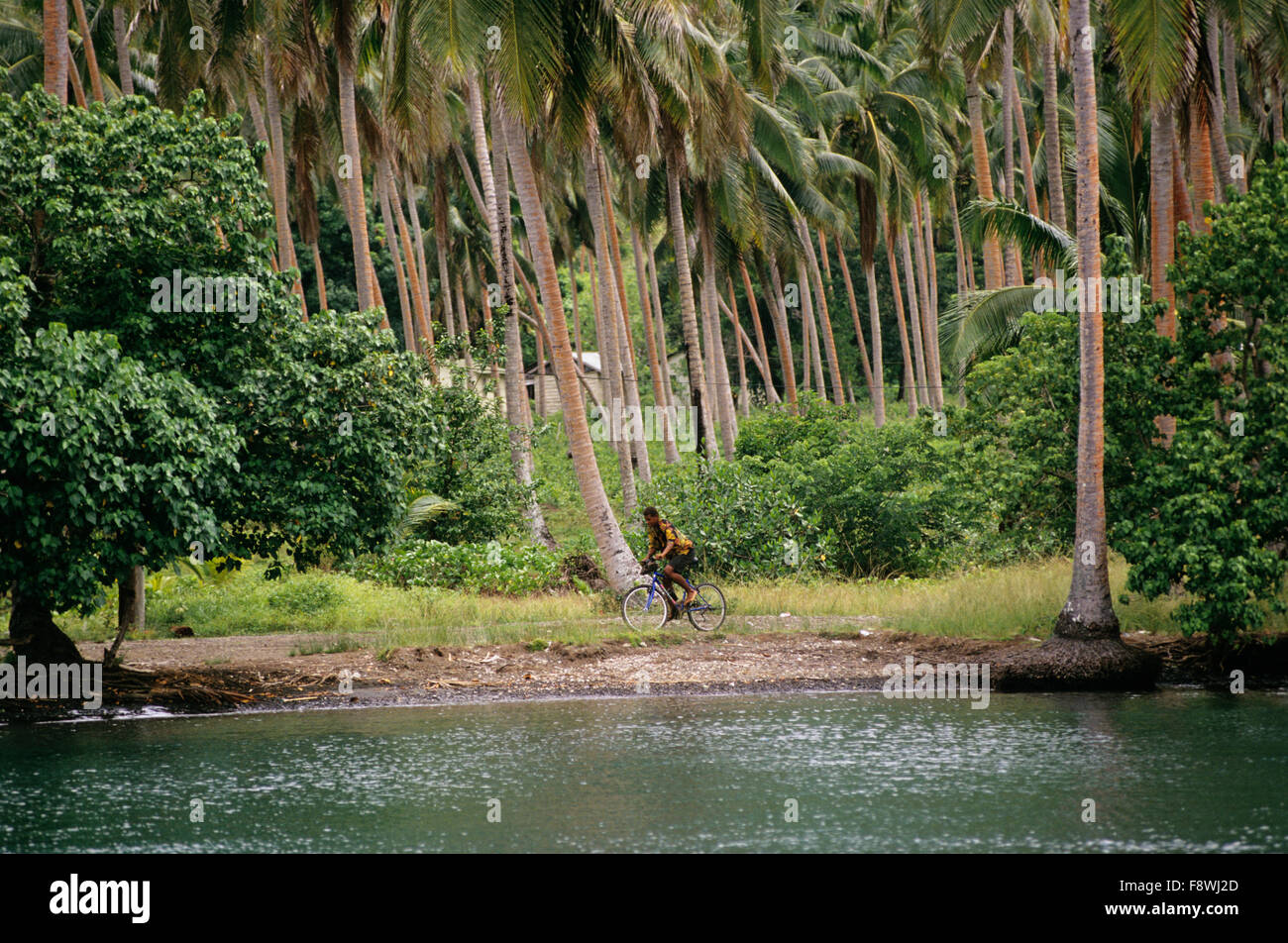 Fiji Islands, Vanua Levu, Buca Bay ferry point for Taveuni Stock Photo ...