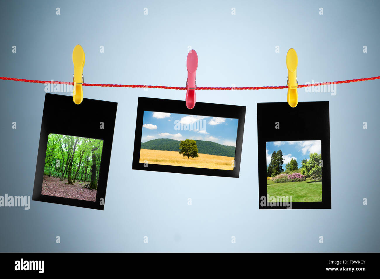 Picture frames with nature photos Stock Photo - Alamy