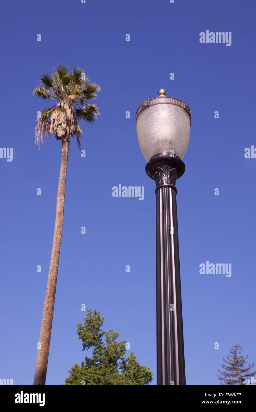 One Plam and a Lightpost Stock Photo - Alamy