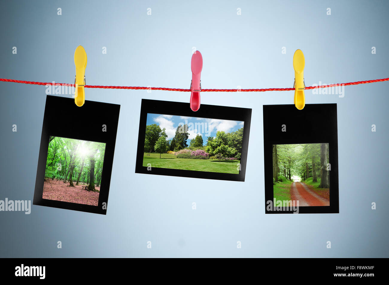 Picture frames with nature photos Stock Photo - Alamy