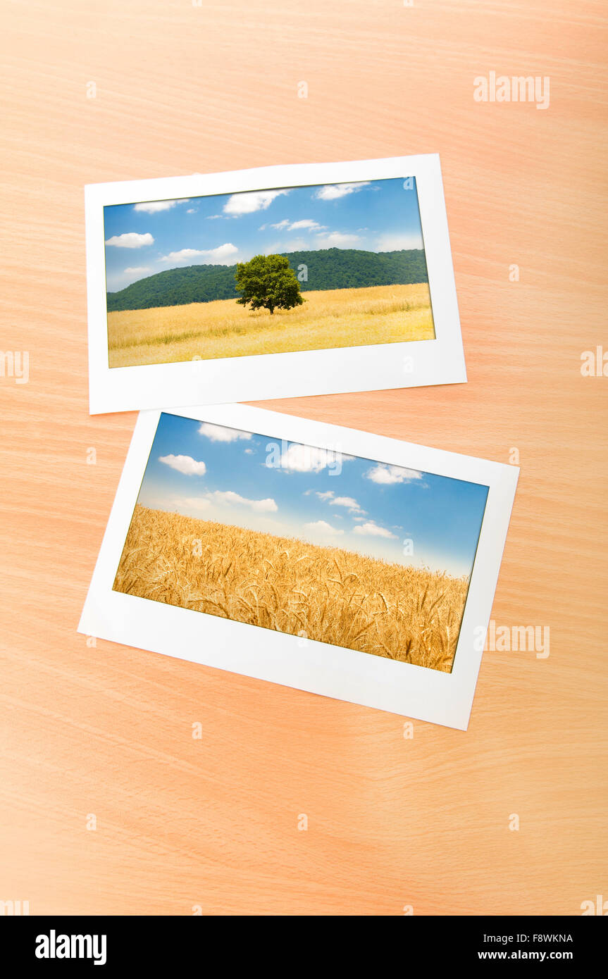 Picture frames with nature photos Stock Photo - Alamy