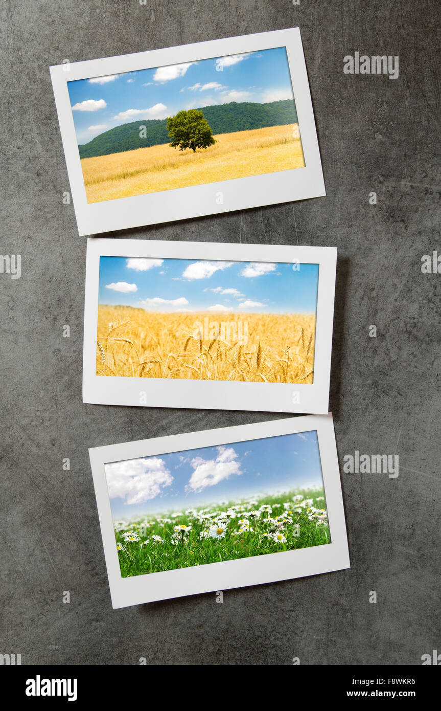 Picture frames with nature photos Stock Photo - Alamy
