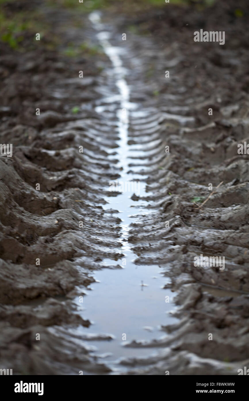 Water pond puddle hi-res stock photography and images - Alamy