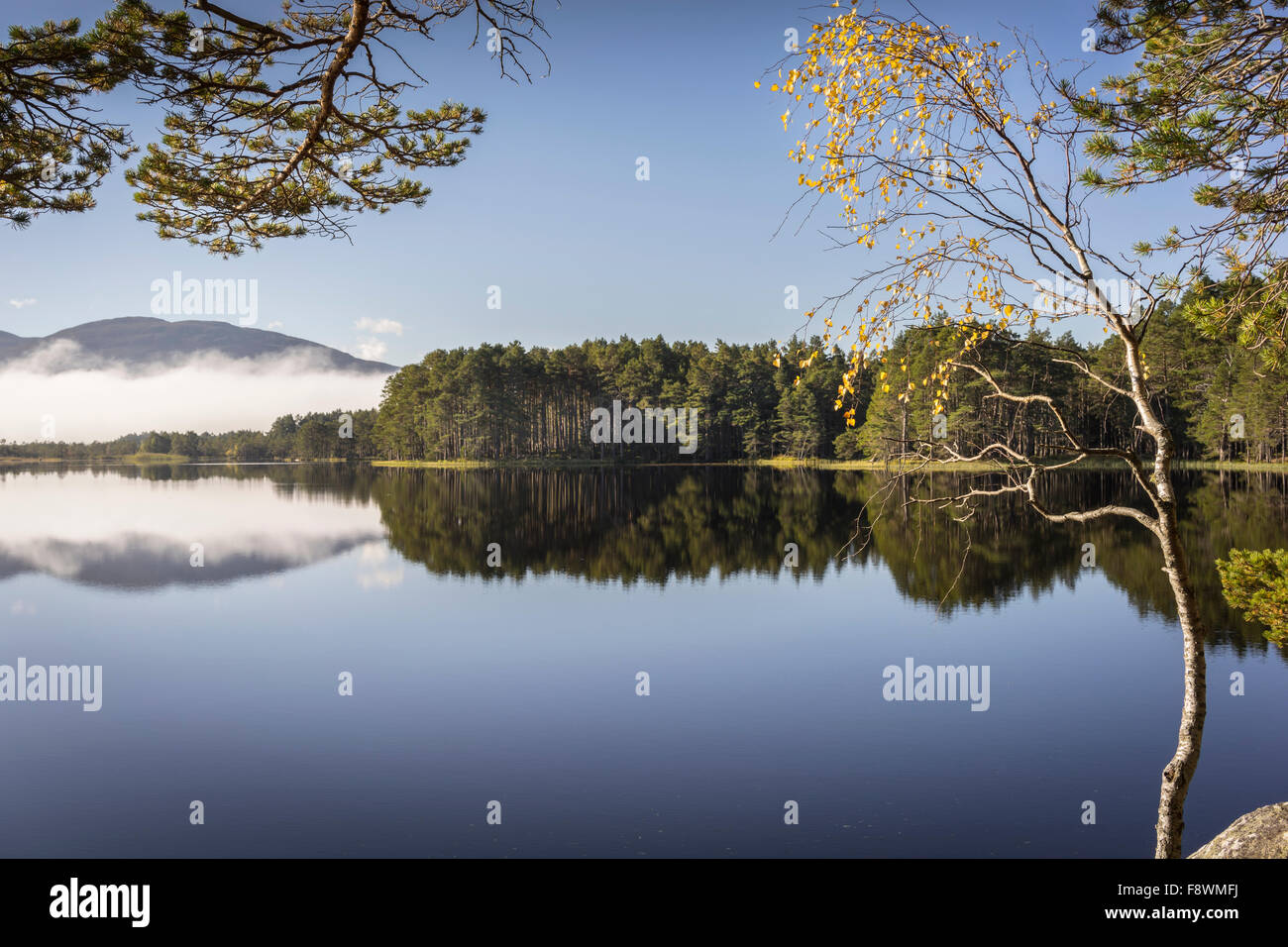 Loch Garten in the Cairngorms National Park of Scotland Stock Photo - Alamy