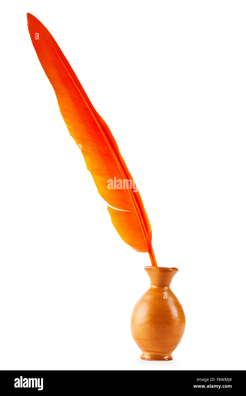 Writing feather isolated on the white background Stock Photo - Alamy