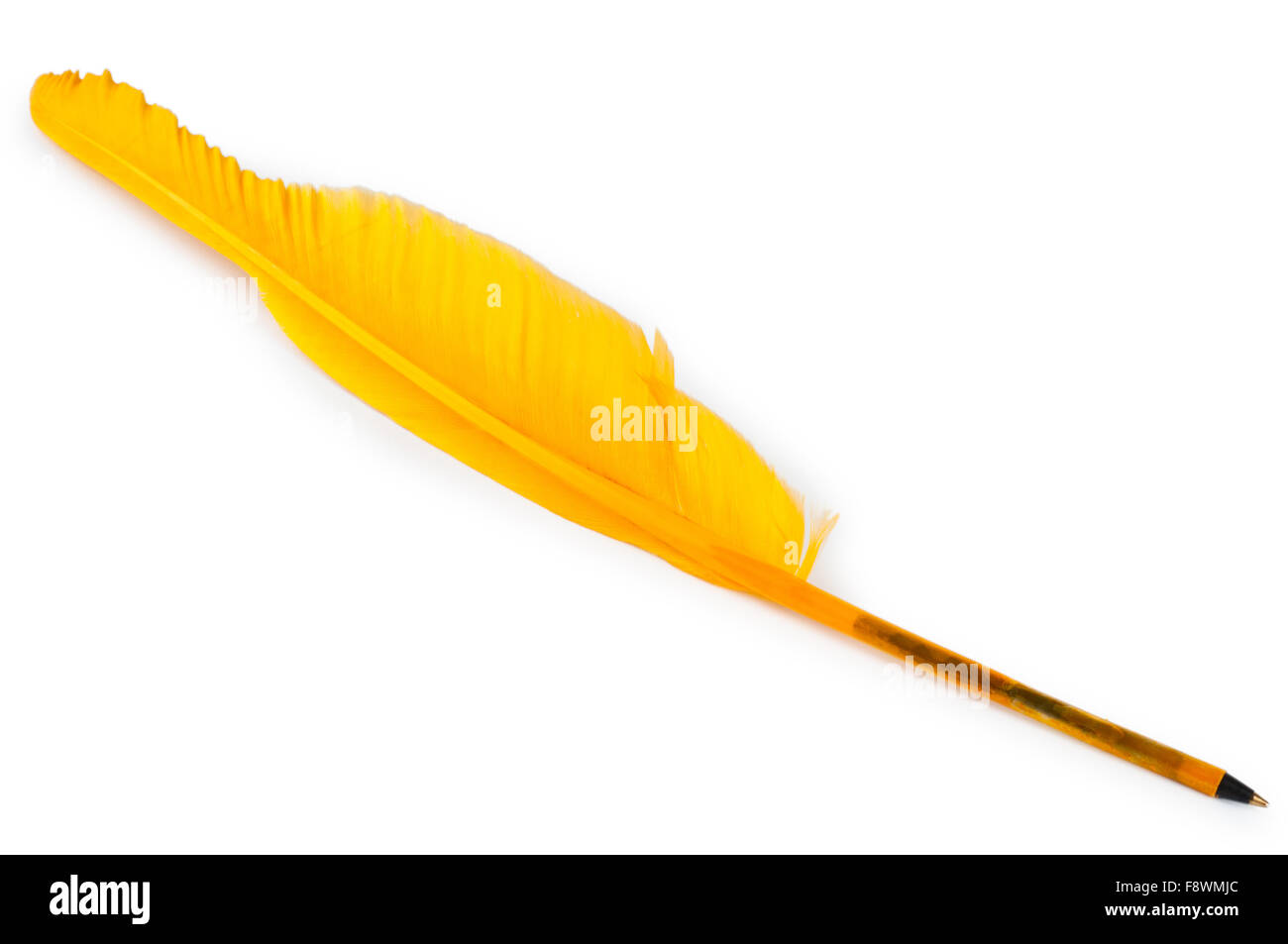 Writing feather isolated on the white background Stock Photo - Alamy