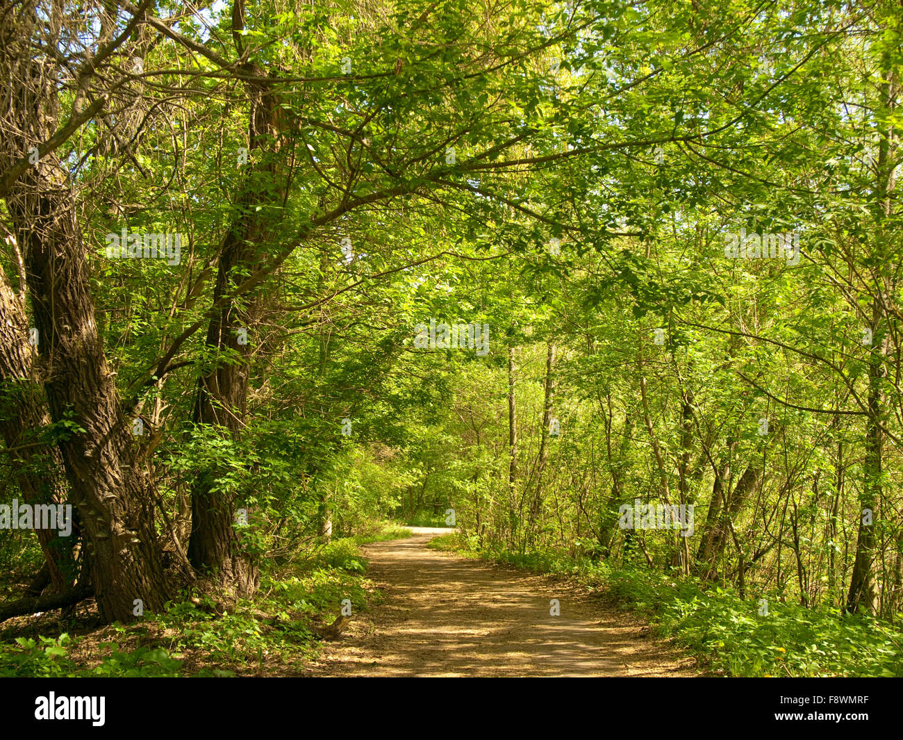 Image garden hi-res stock photography and images - Alamy