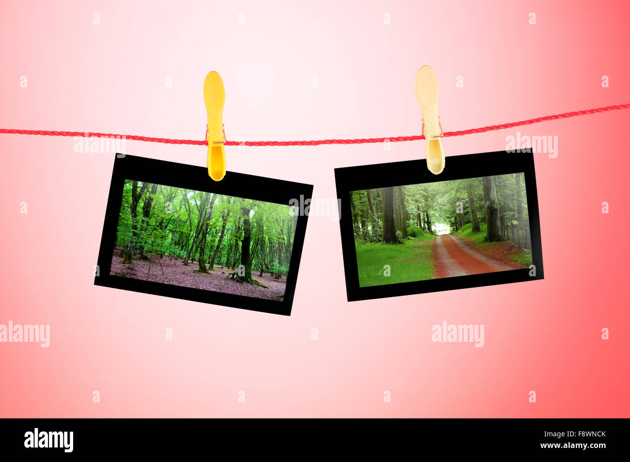 Picture frames with nature photos Stock Photo - Alamy