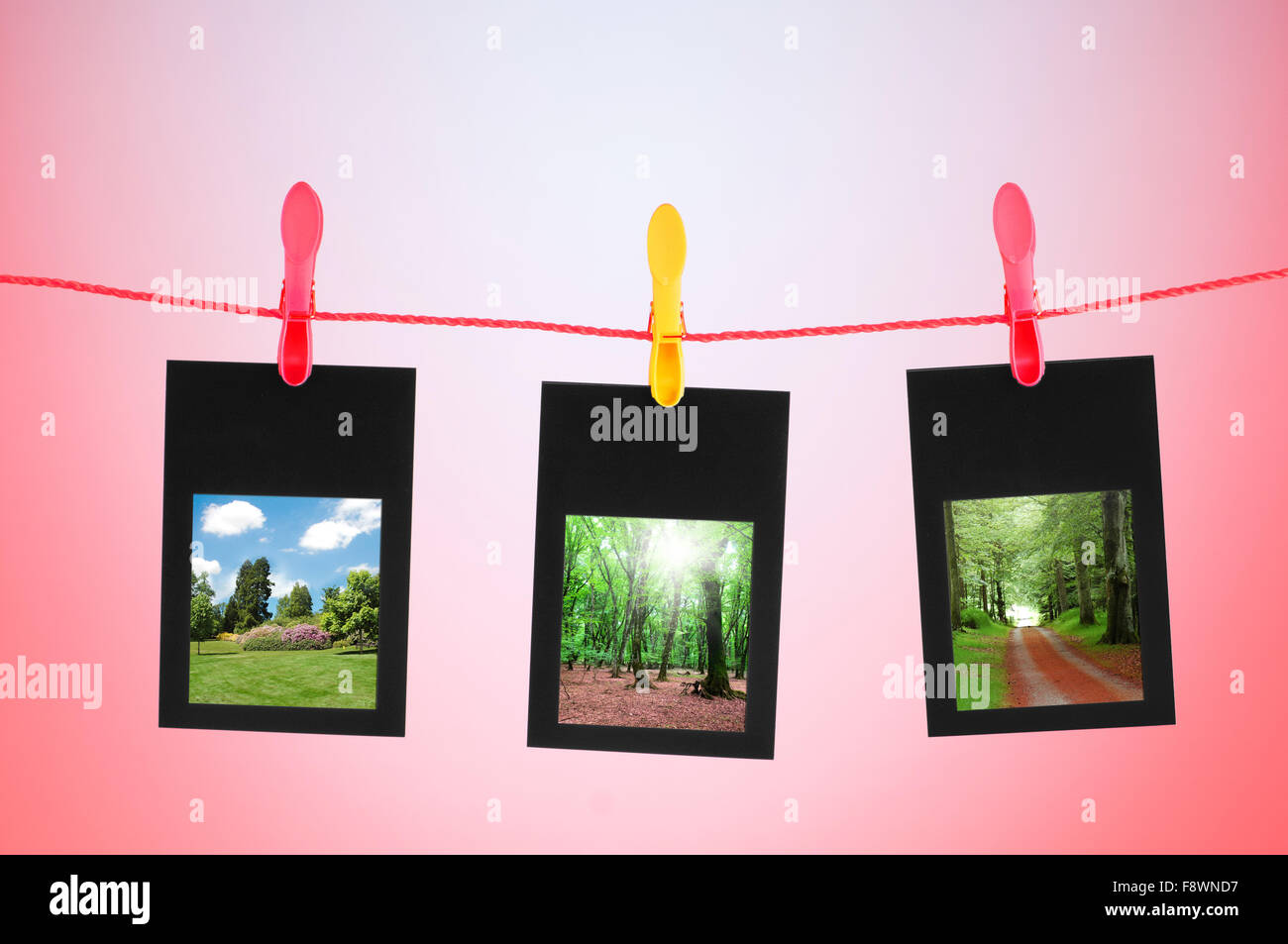 Picture frames with nature photos Stock Photo - Alamy