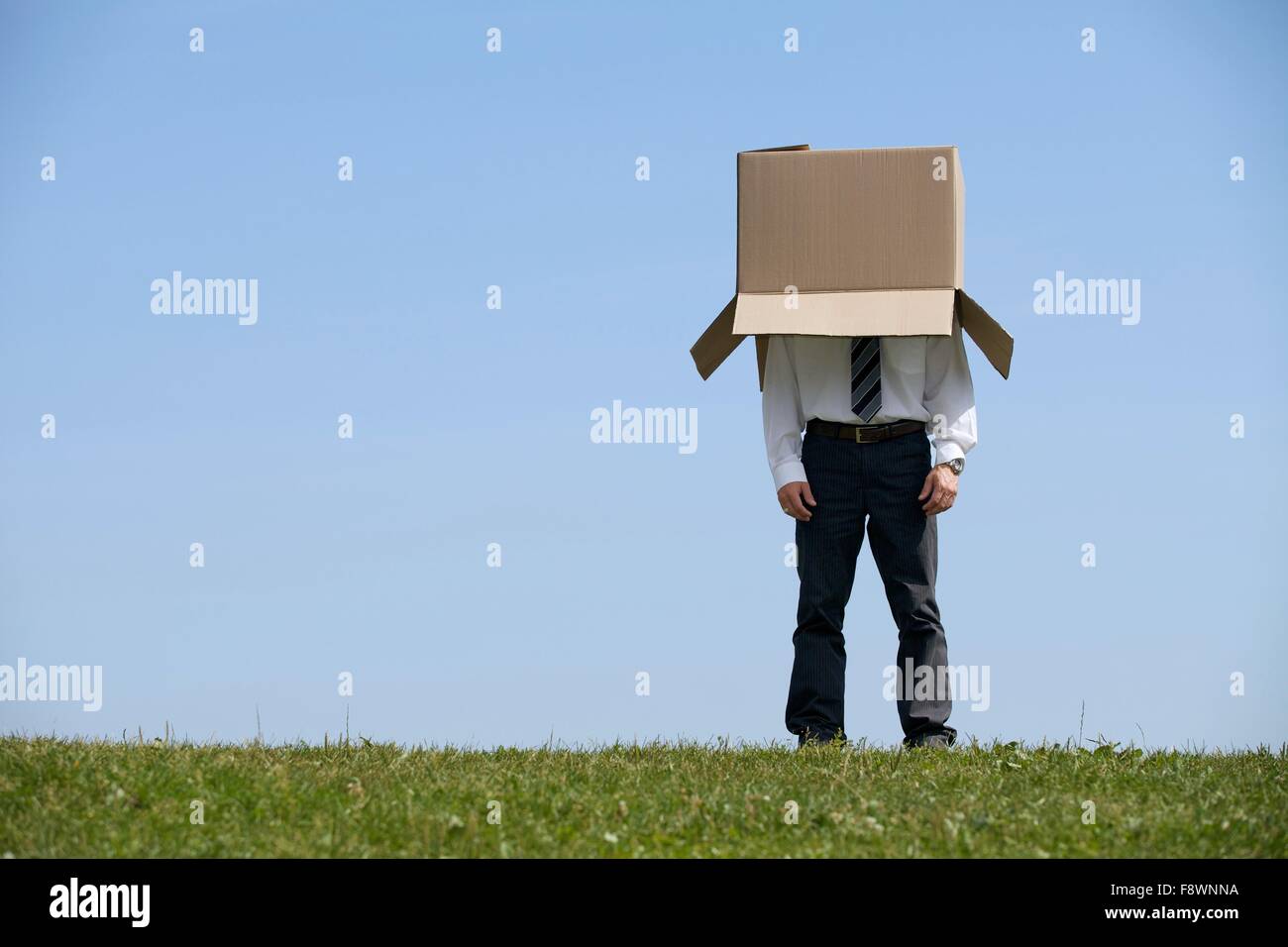 Man standing in park with cardboard box over his head Stock Photo - Alamy