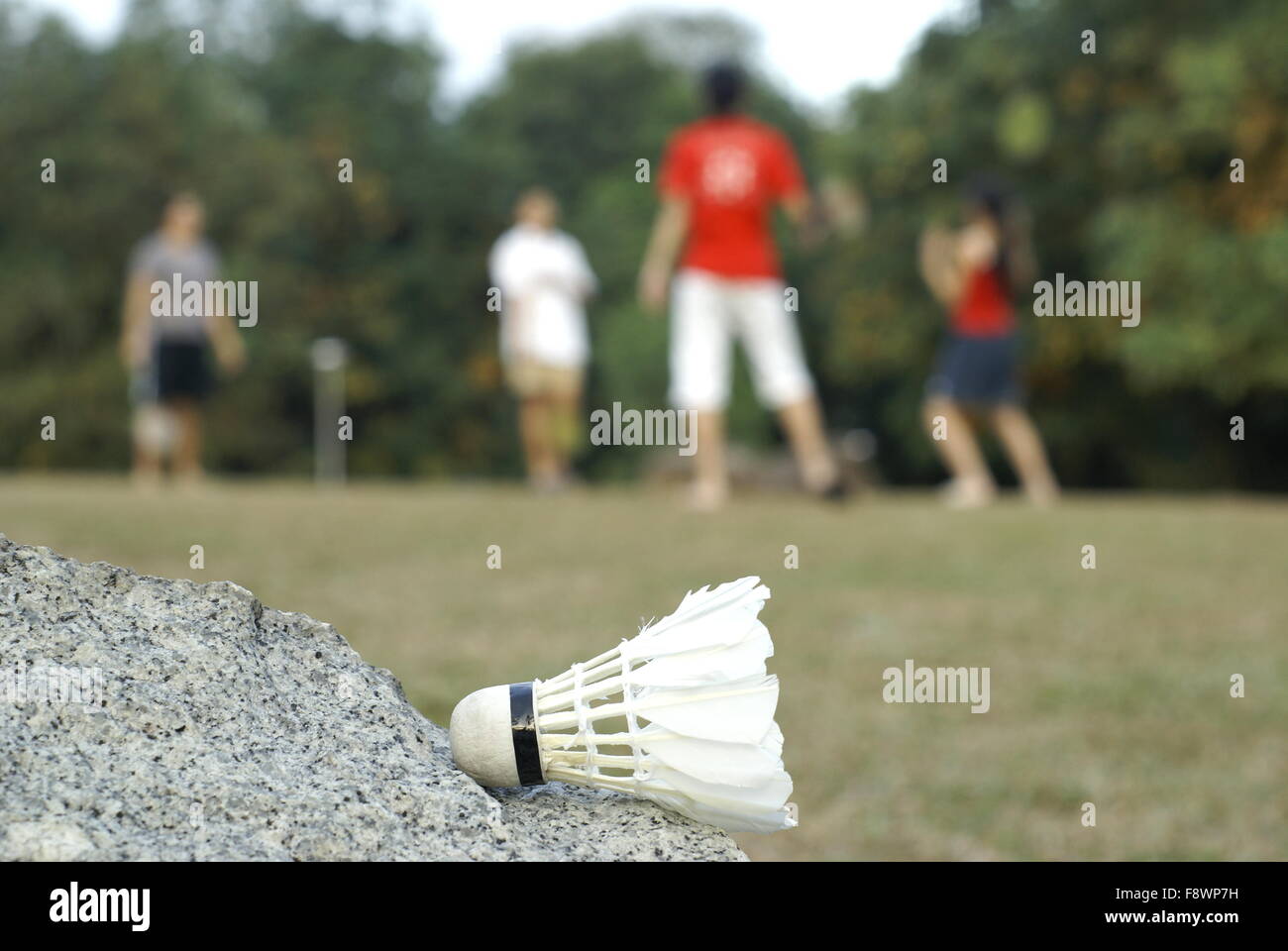 Children playing badminton outdoors Stock Photo - Alamy