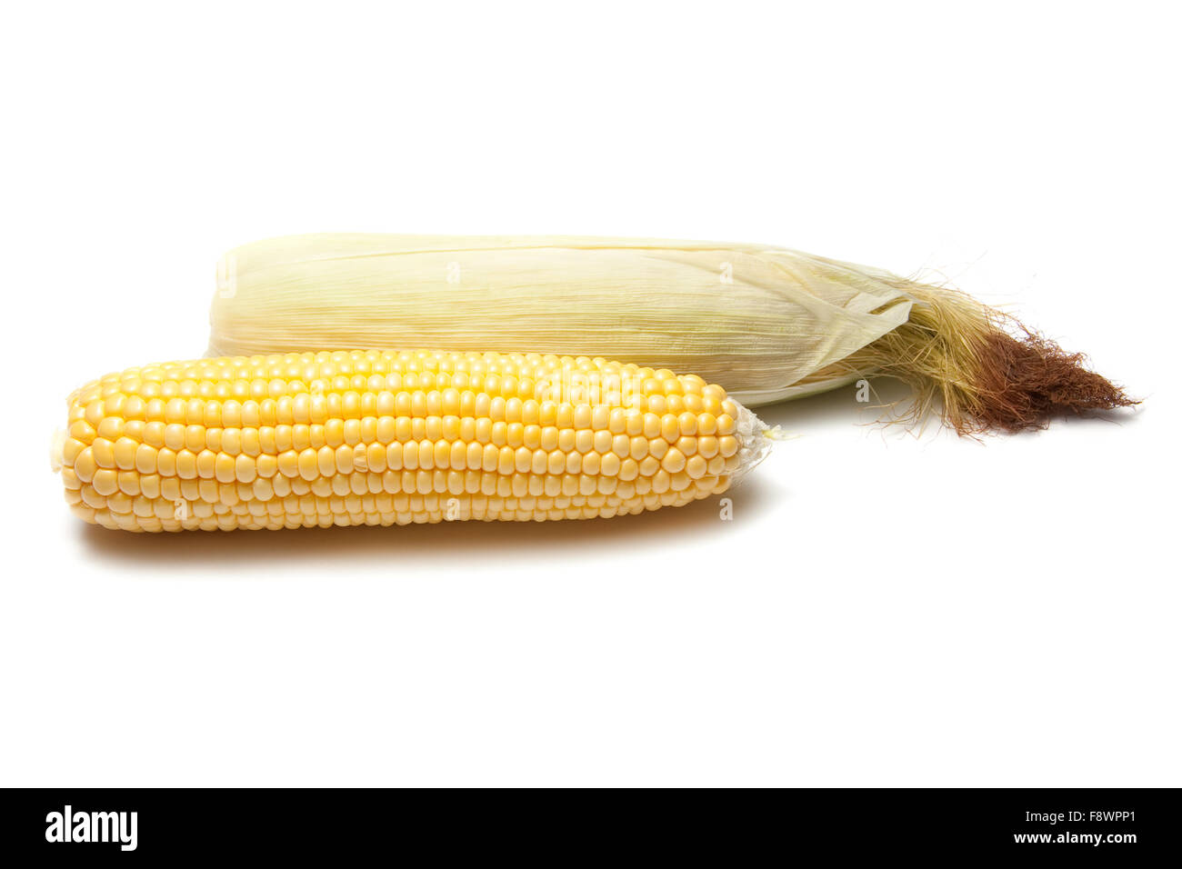 Maize kernel kernels corn Cut Out Stock Images & Pictures - Alamy