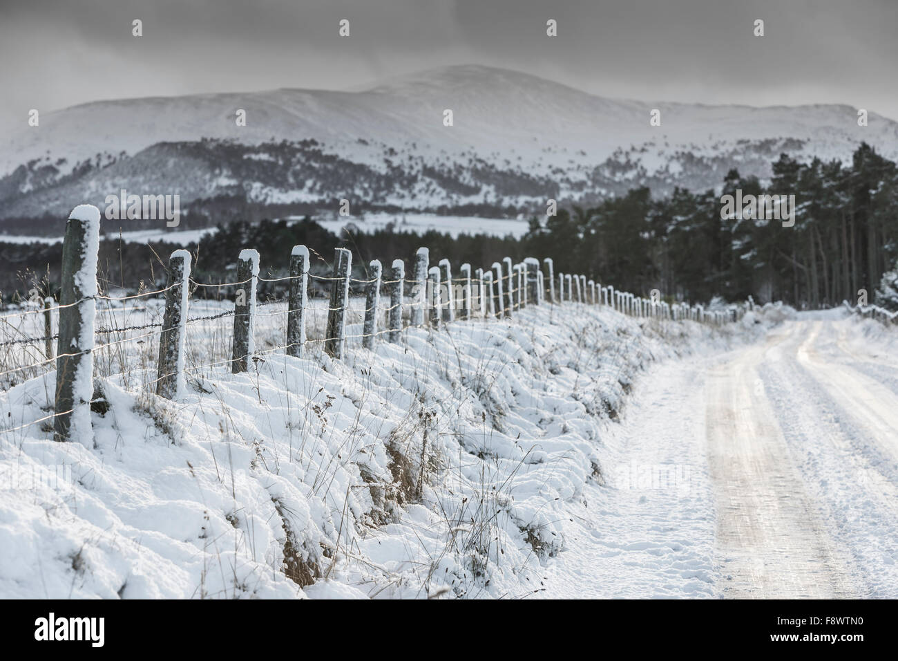 Icy road in the Cairngorms, Scotland Stock Photo - Alamy