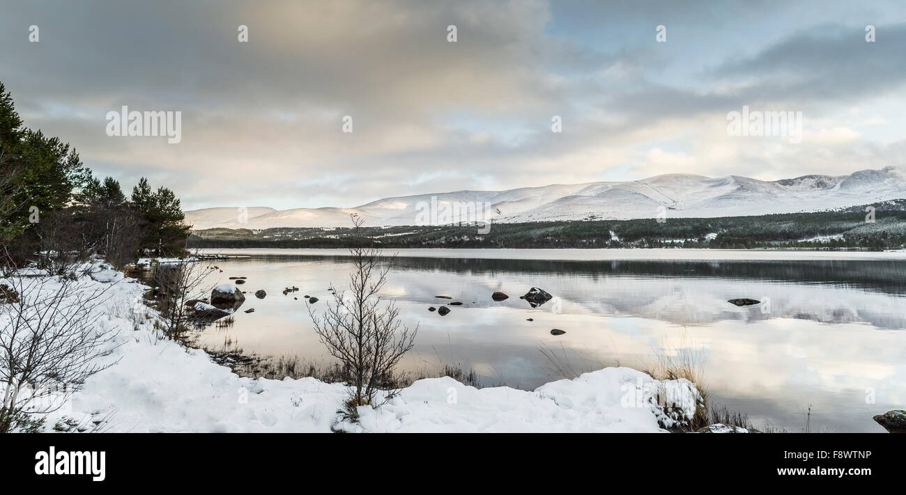 Loch Morlich Winter in the Cairngorms National Park of Scotland Stock ...