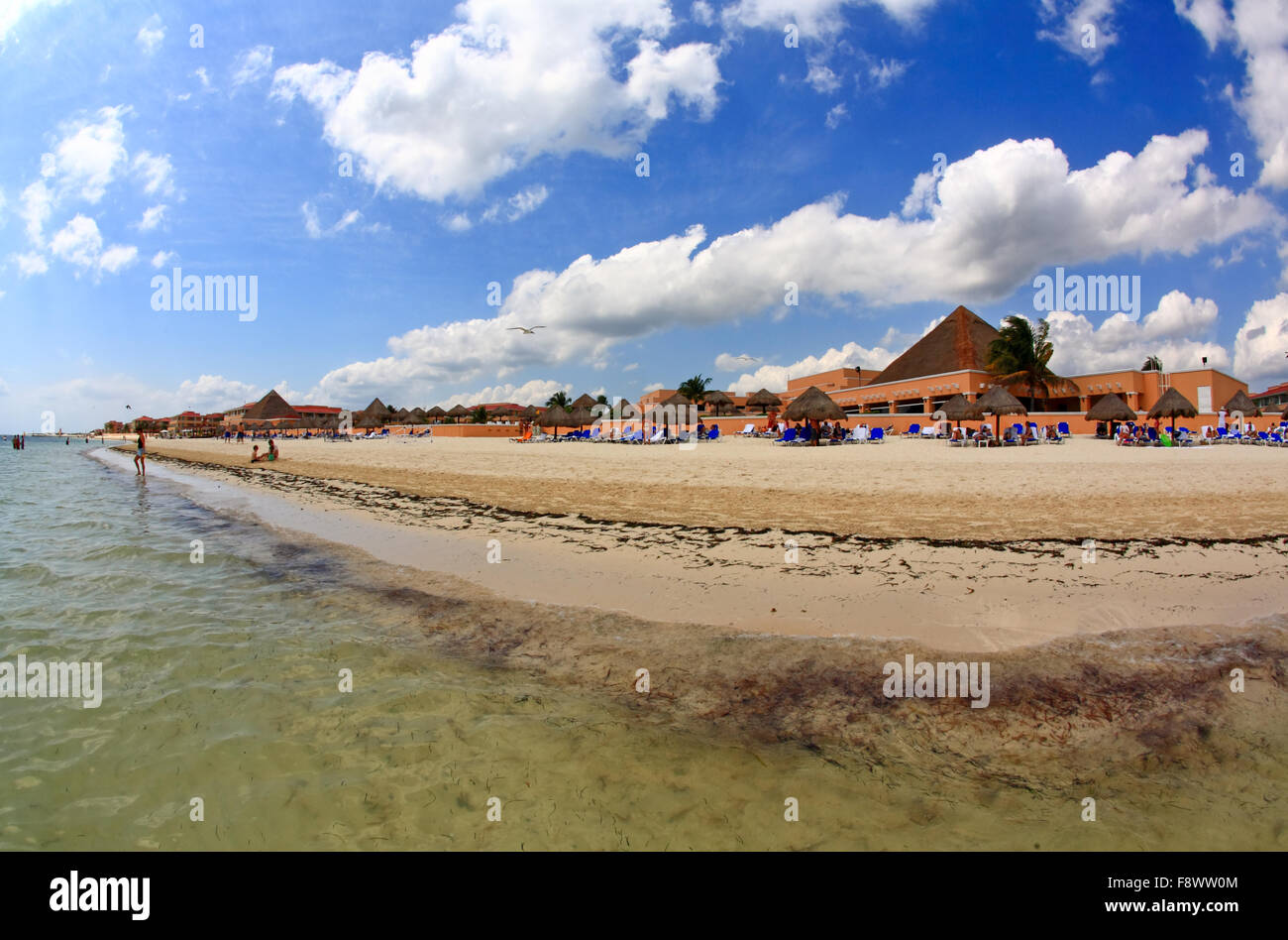 The beach front at a luxury beach resort in Cancun Stock Photo - Alamy