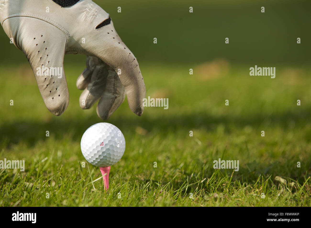 Human hand positioning golf ball on tee, close-up Stock Photo - Alamy