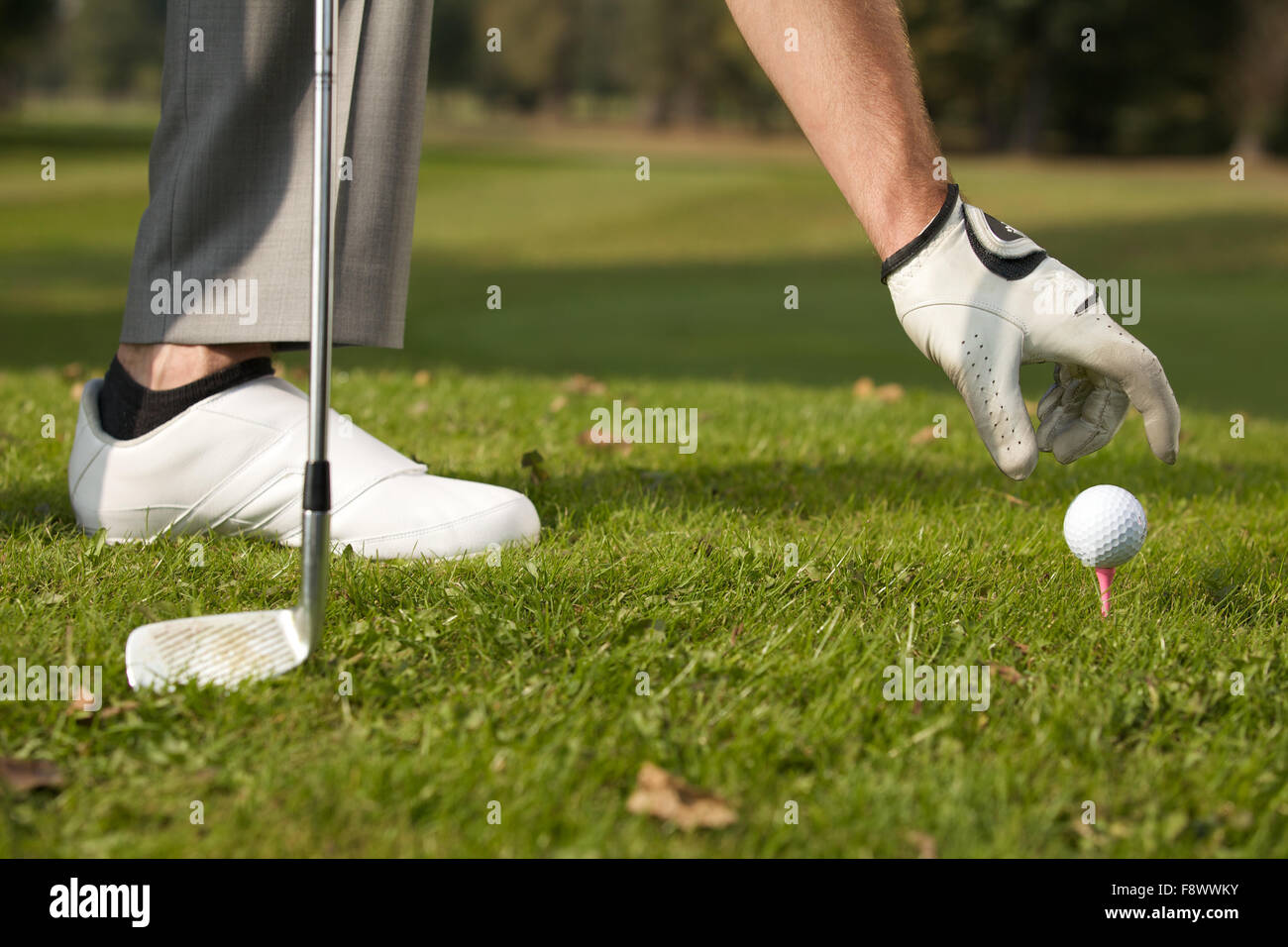 Person positioning golf ball on tee Stock Photo - Alamy