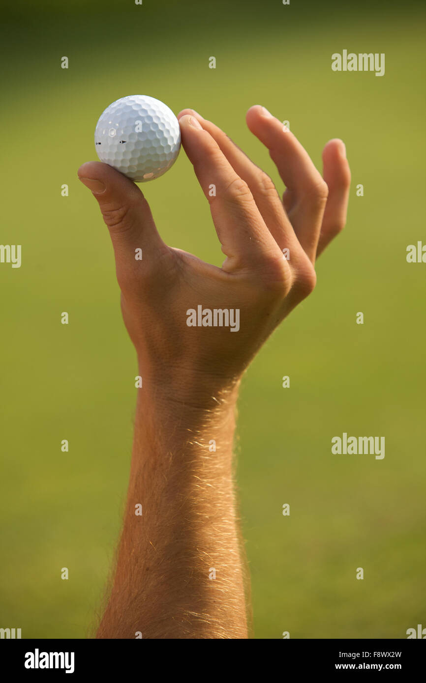 Close-up of human hand holding golf ball Stock Photo - Alamy