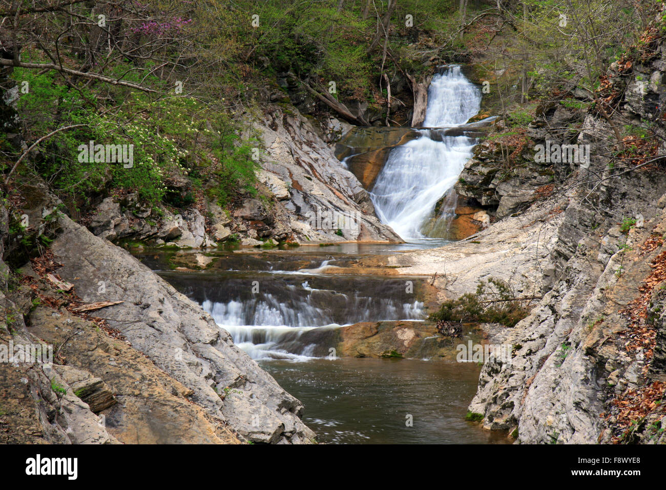 Water streams and cascades Stock Photo - Alamy
