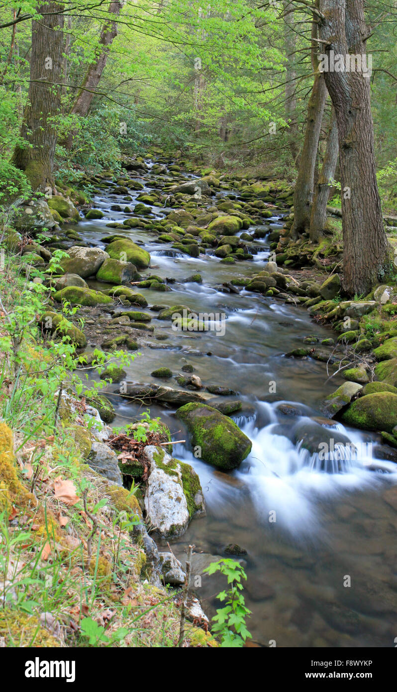 Water streams and cascades Stock Photo - Alamy