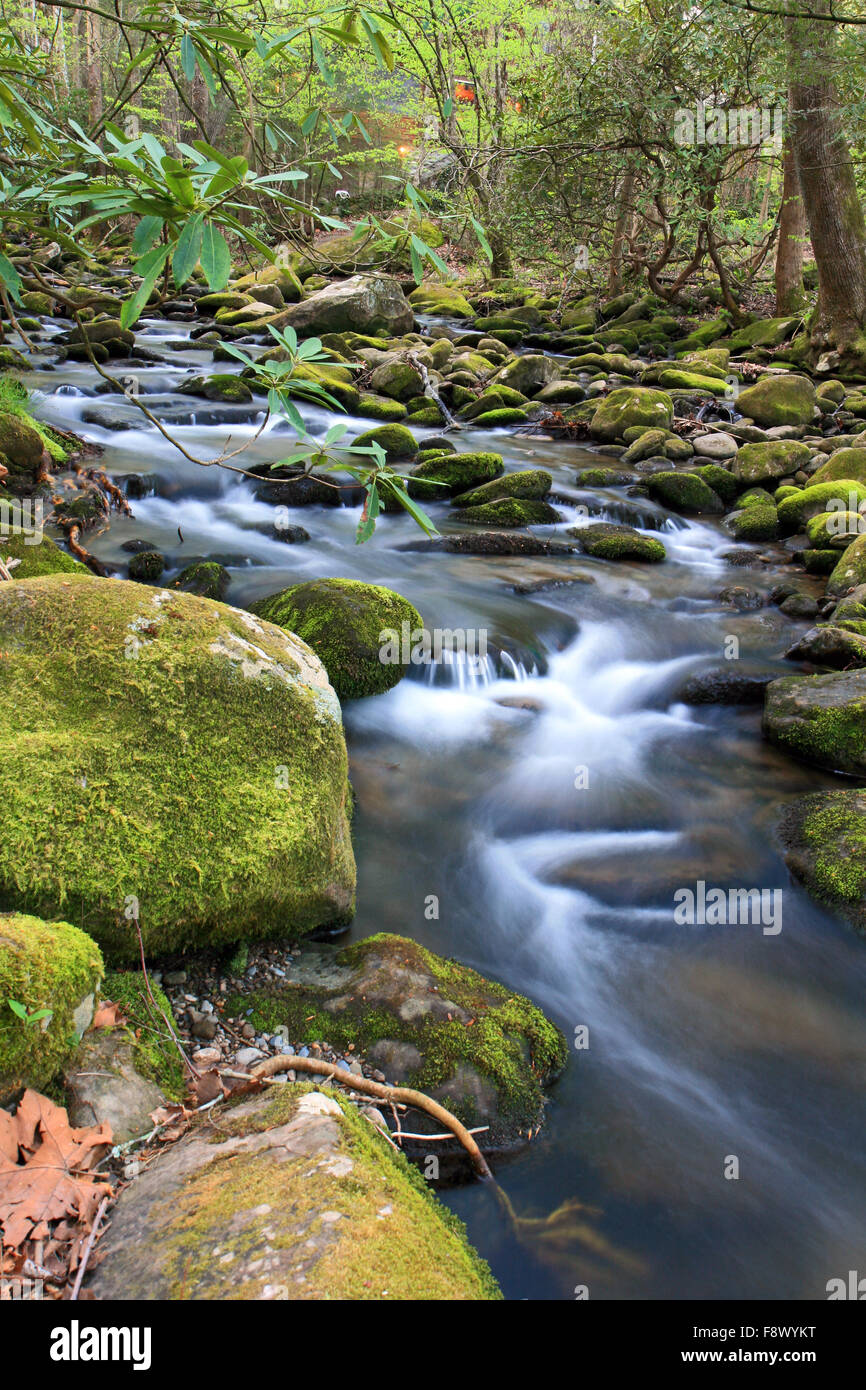 Water streams and cascades Stock Photo - Alamy