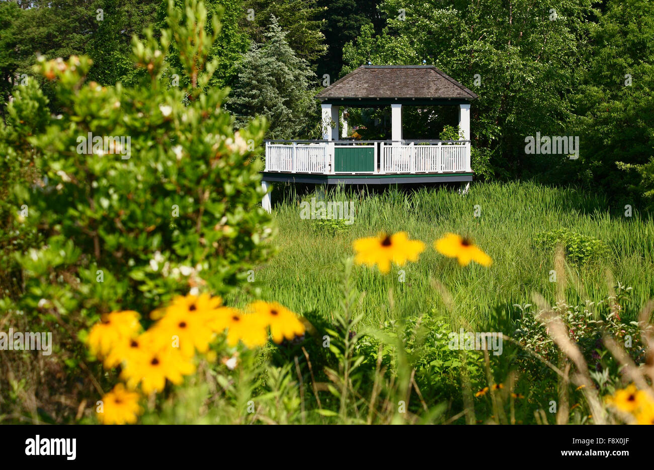 The flowers blooming at a arboretum Stock Photo - Alamy