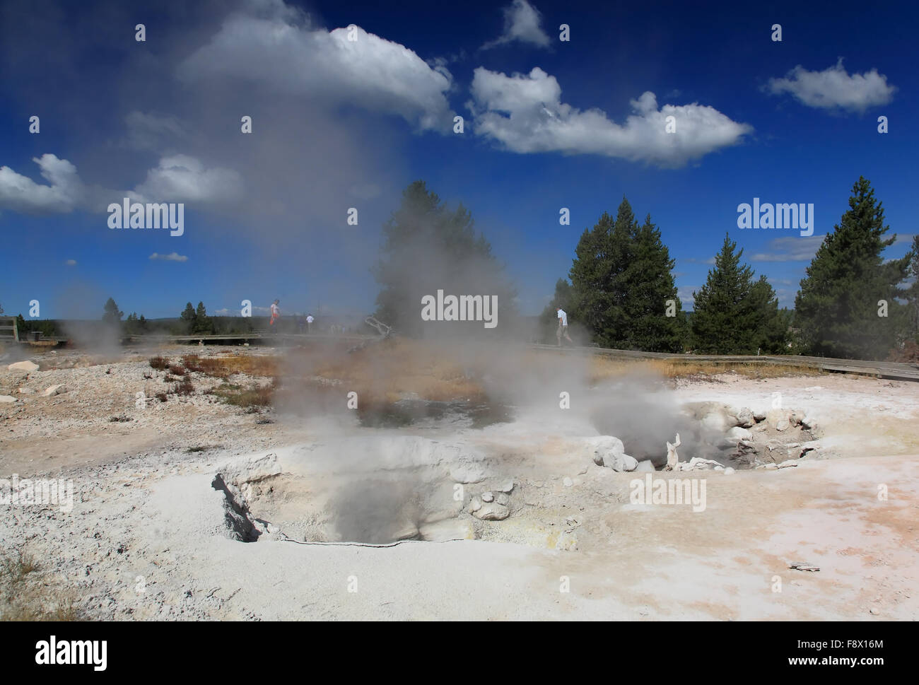 The scenery of Lower Geyser Basin Stock Photo - Alamy