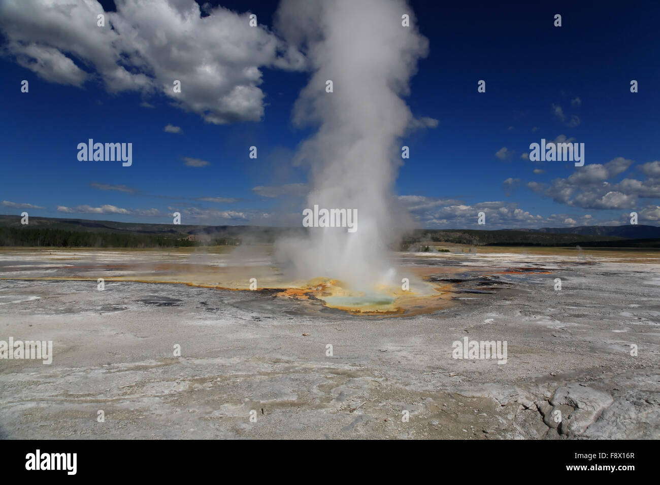 The scenery of Lower Geyser Basin in Yellowstone Stock Photo - Alamy