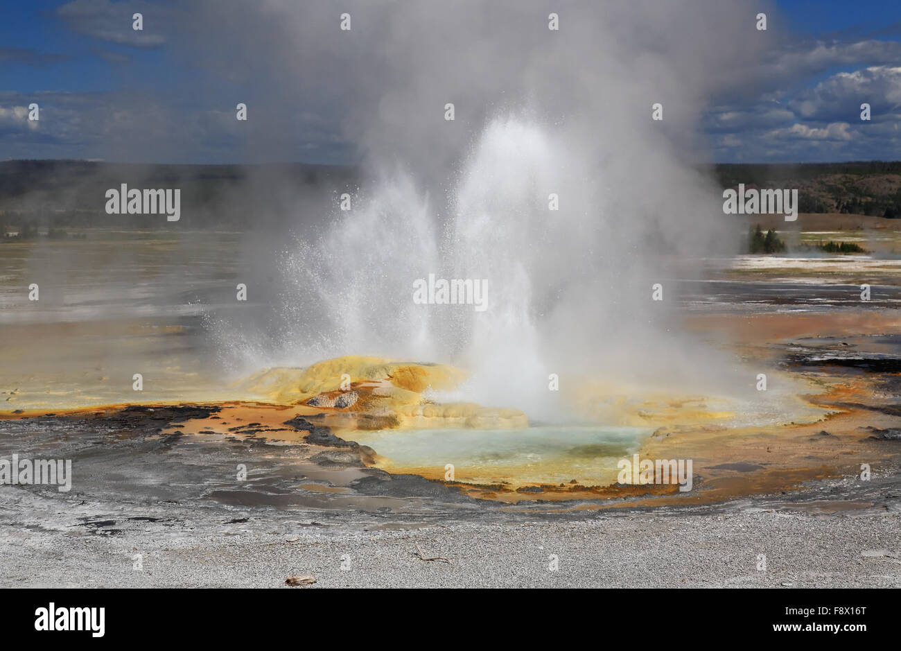 The scenery of Lower Geyser Basin in Yellowstone Stock Photo - Alamy