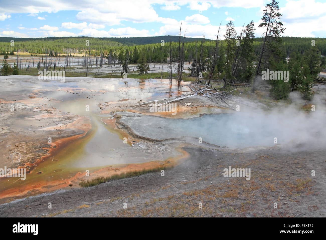 the Firehole Lake Drive in Yellowstone Stock Photo - Alamy