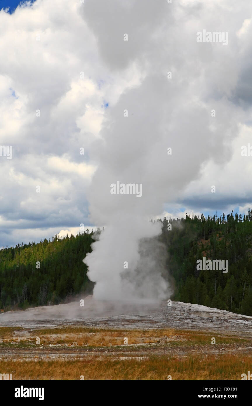The Old Faithful Geyser in Yellowstone Stock Photo - Alamy