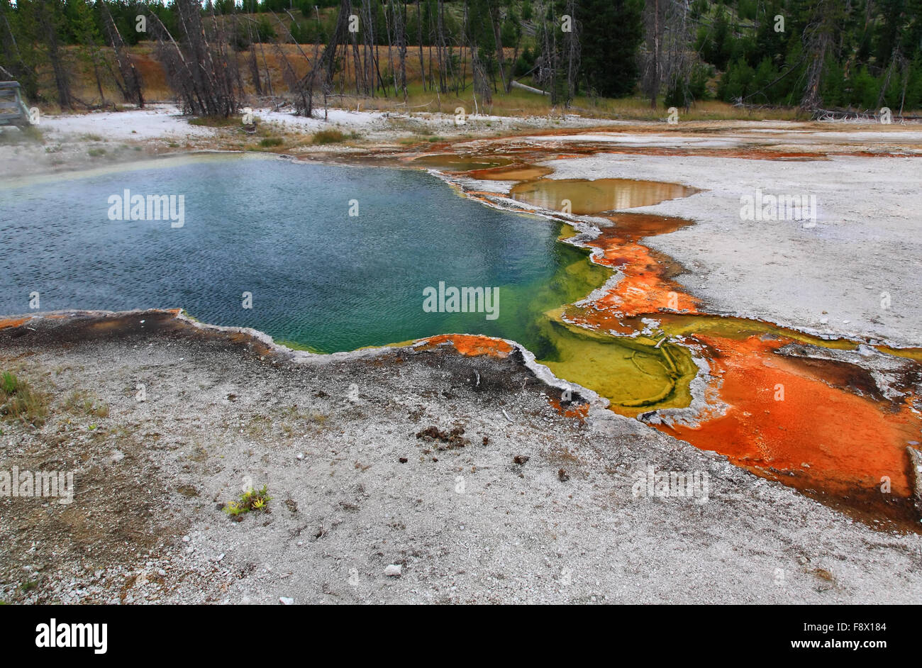 West Thumb Geyser Basin in Yellowstone Stock Photo - Alamy