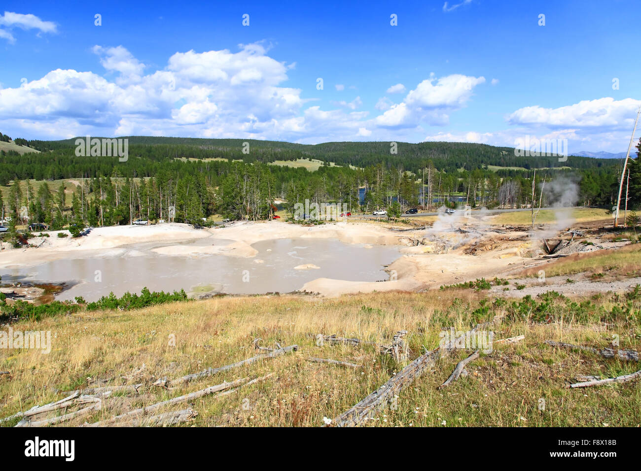 Mud Volcano area in Yellowstone Stock Photo - Alamy