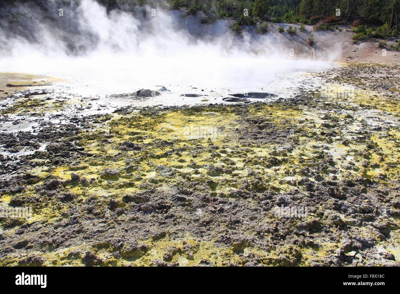 Mud Volcano area in Yellowstone Stock Photo - Alamy