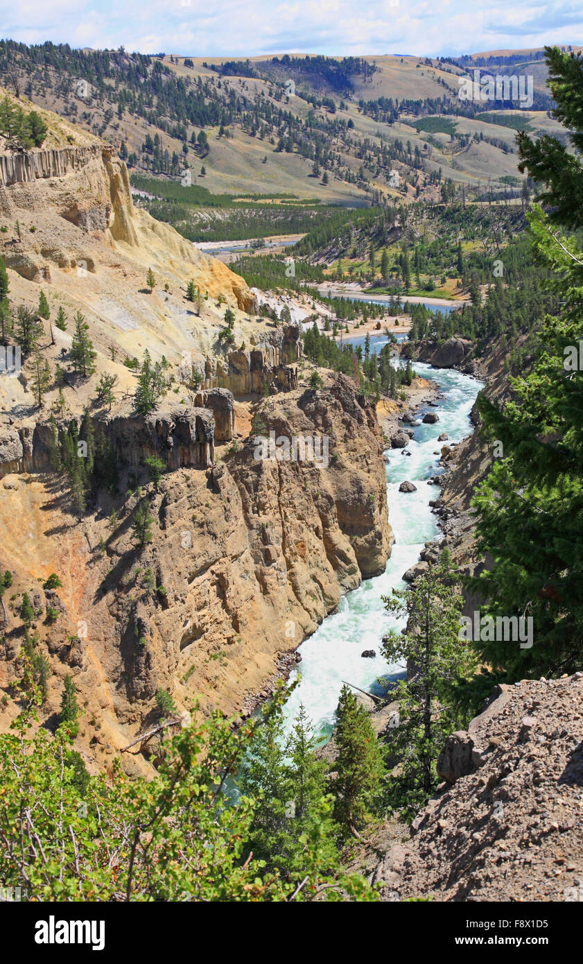 The Yellowstone River in Yellowstone NP Stock Photo - Alamy