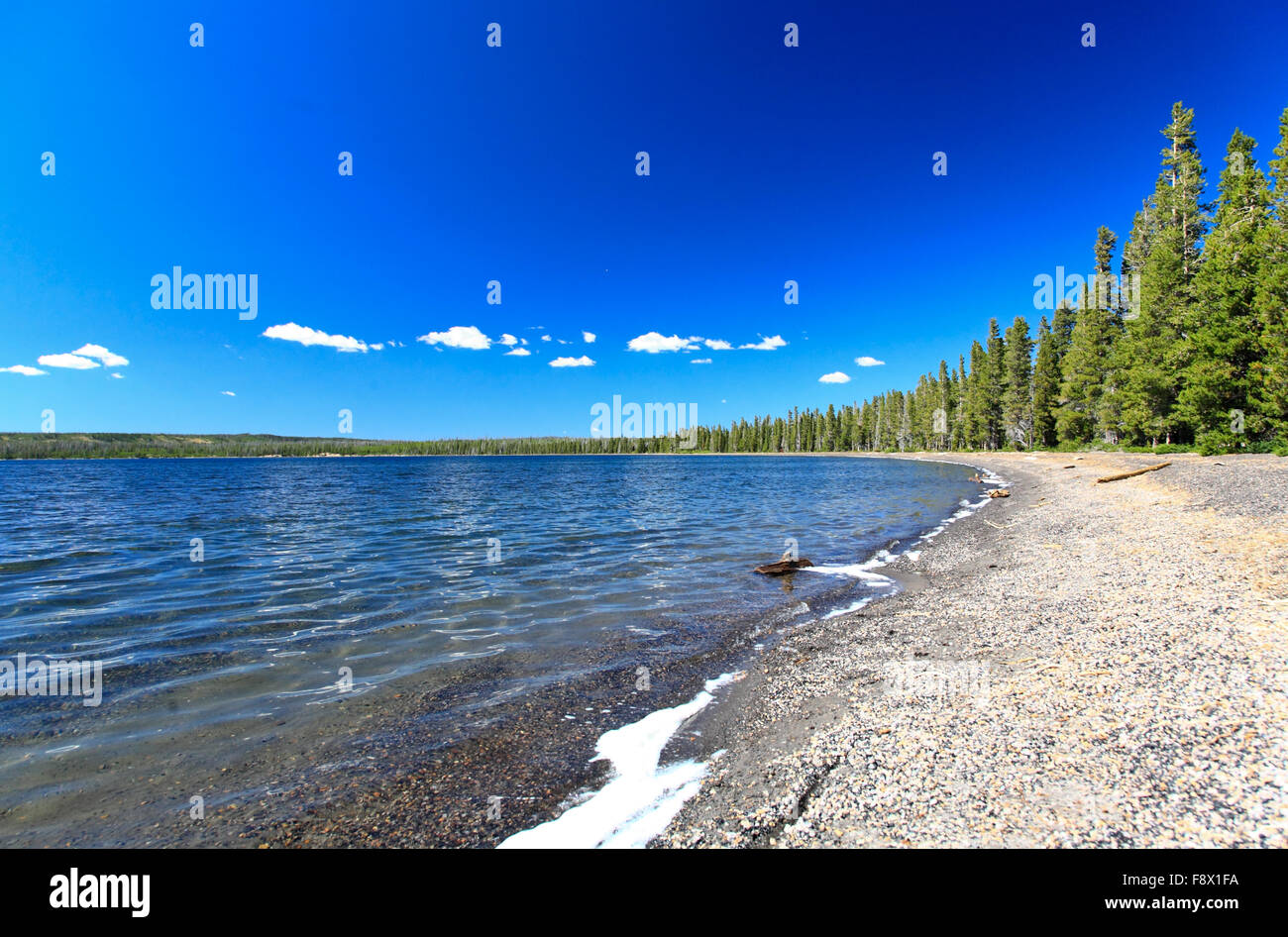 The Lewis Lake in the Yellowstone Stock Photo - Alamy