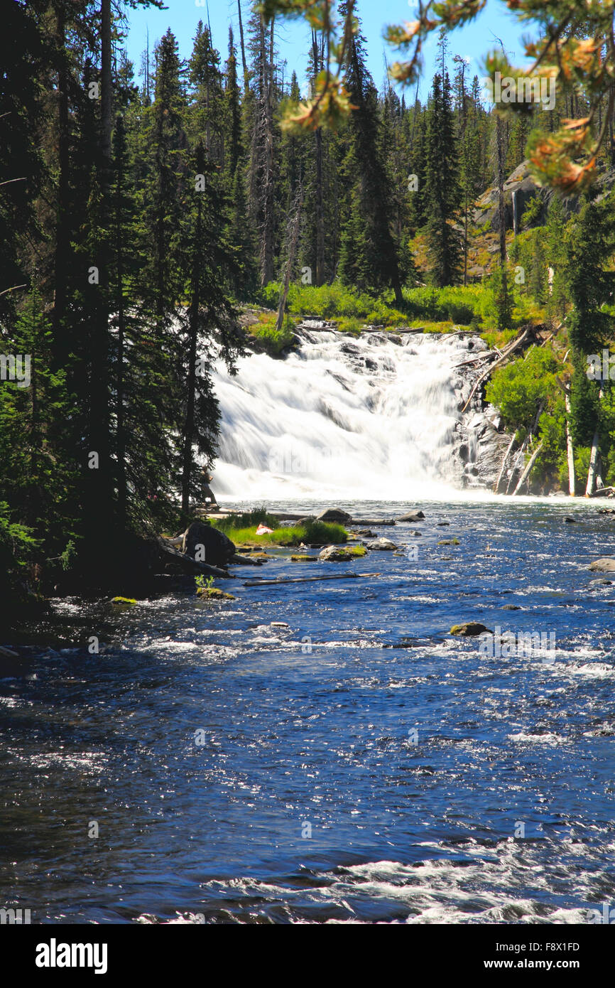 The Lewis Falls in the Yellowstone National Park Stock Photo - Alamy