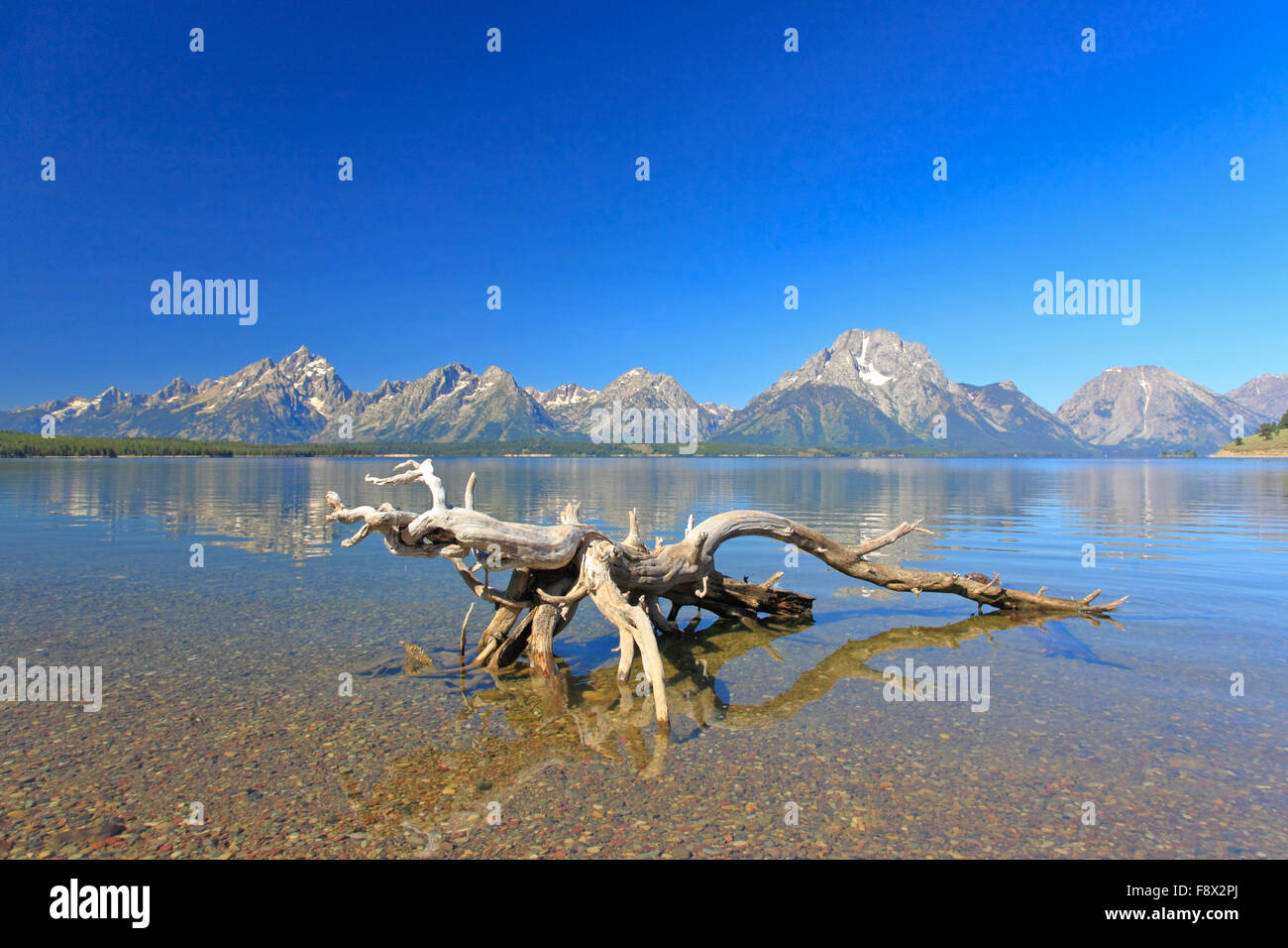 The Jackson Lake in Grand Teton Stock Photo - Alamy