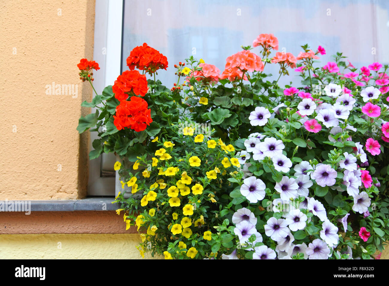 The flower window decorations in St. Wolfgang Stock Photo - Alamy