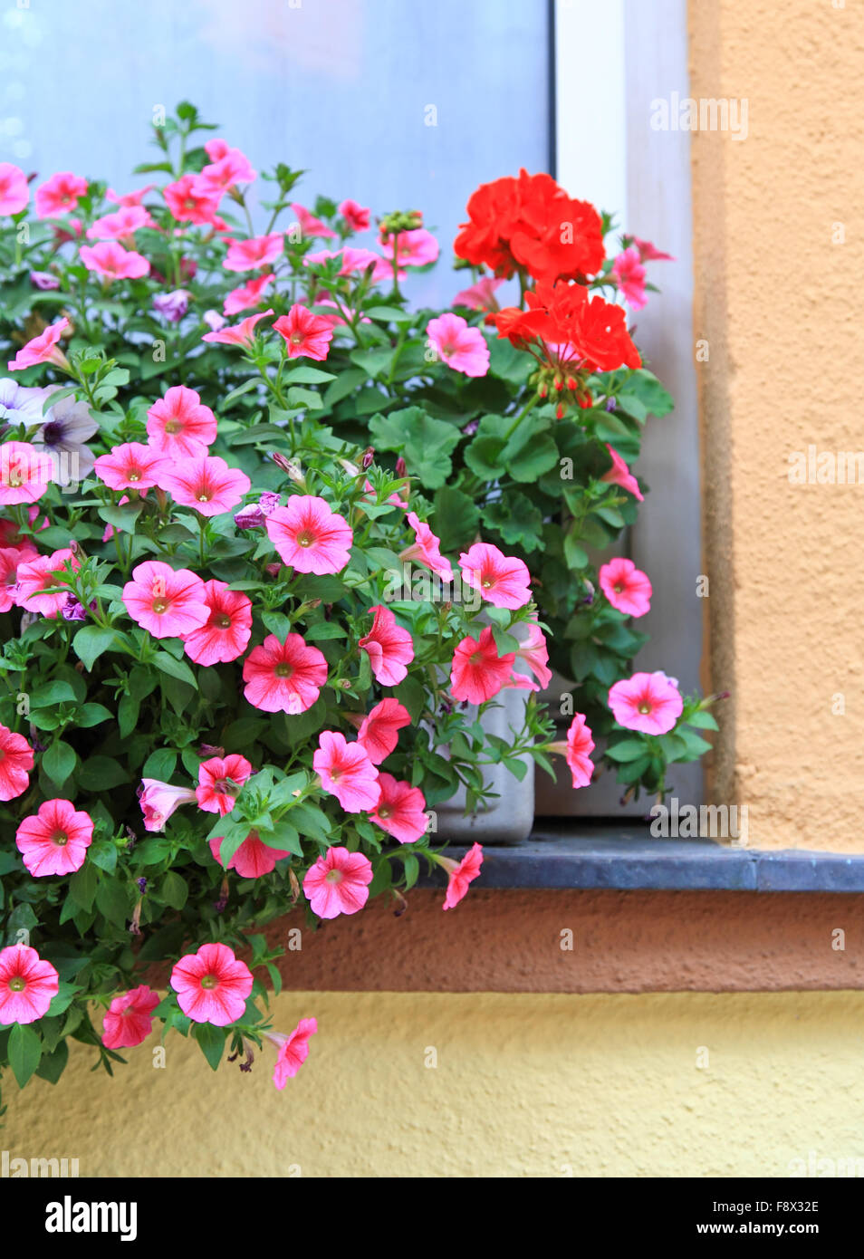 The flower window decorations in St. Wolfgang Stock Photo - Alamy