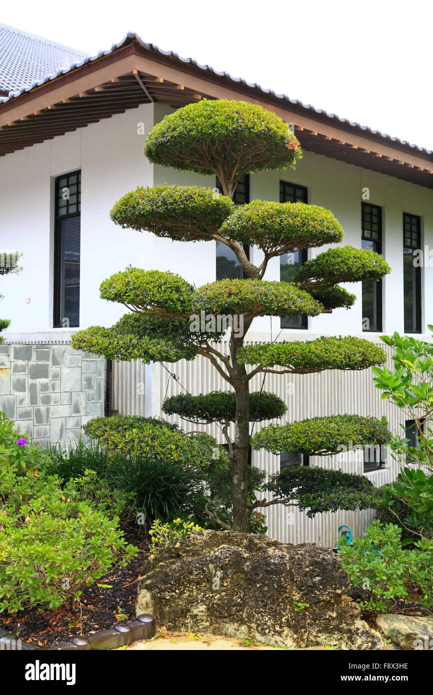 a famous traditional Japanese garden Stock Photo - Alamy