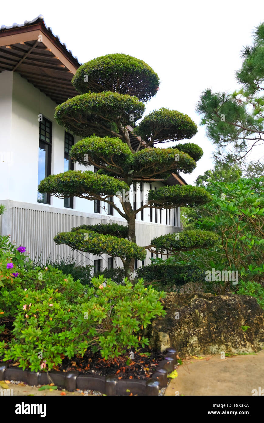 a famous traditional Japanese garden Stock Photo - Alamy