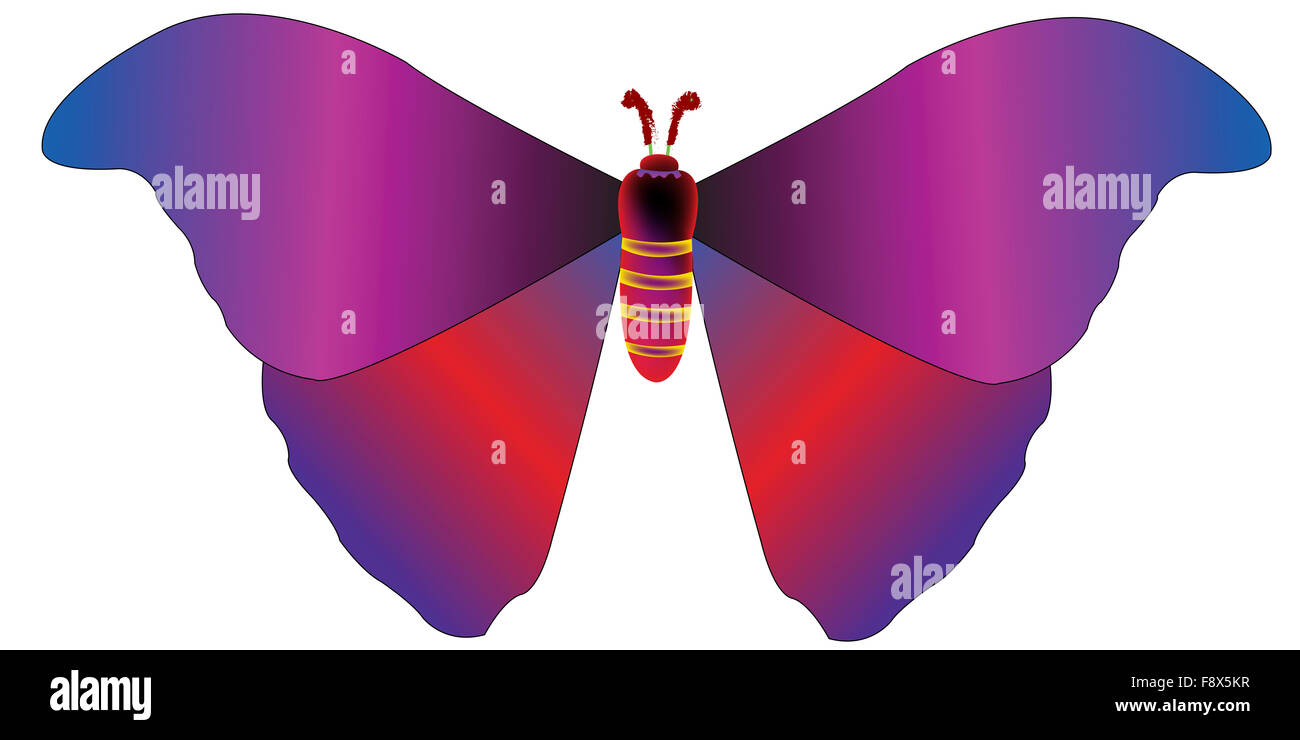 Open fly Cut Out Stock Images & Pictures - Alamy