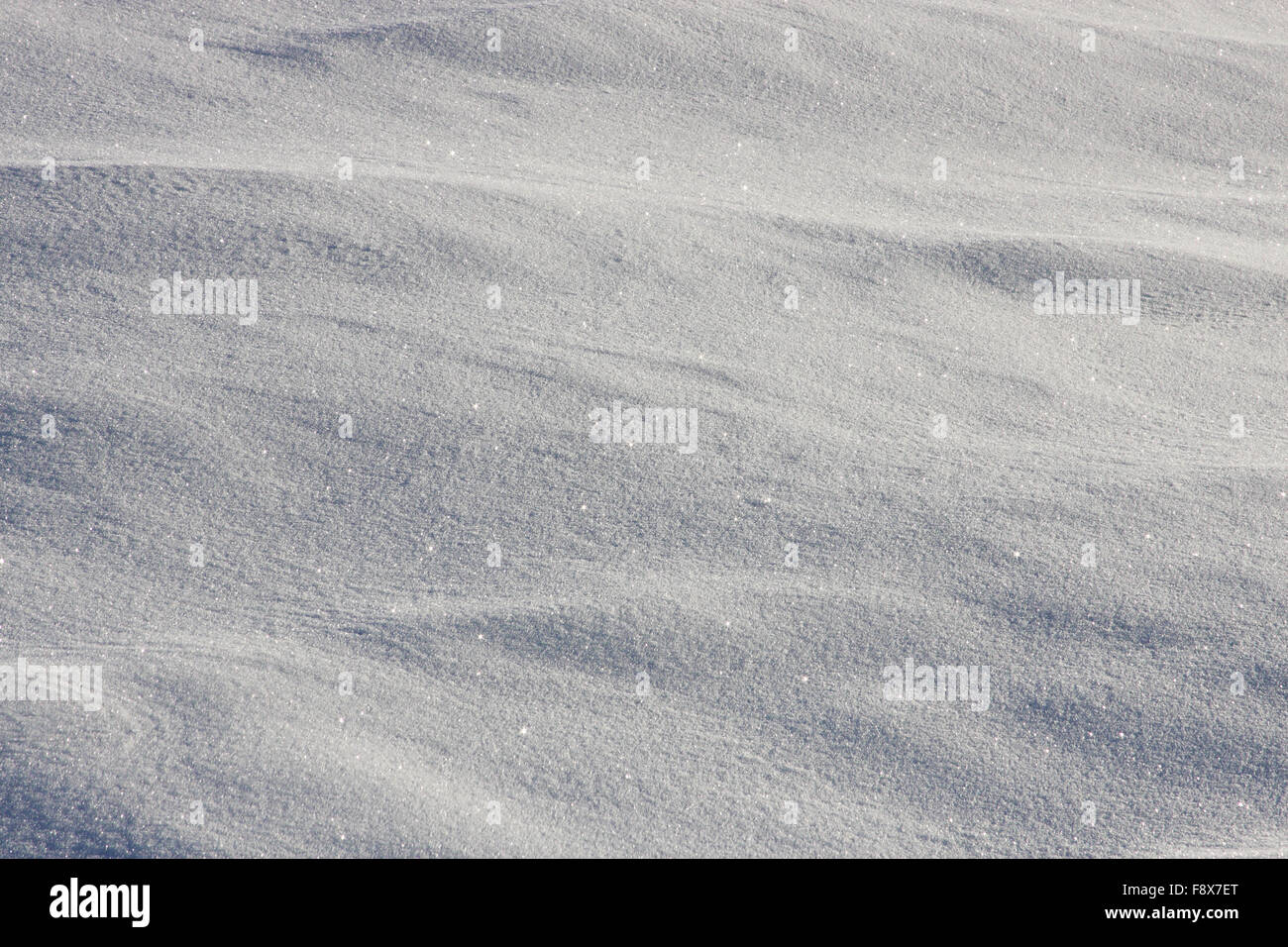 Snow Field. Photo taken in the Mount Hood National Forest, OR Stock ...