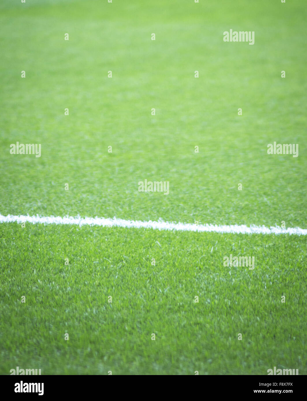 Soccer football pitch white line and grass Stock Photo - Alamy