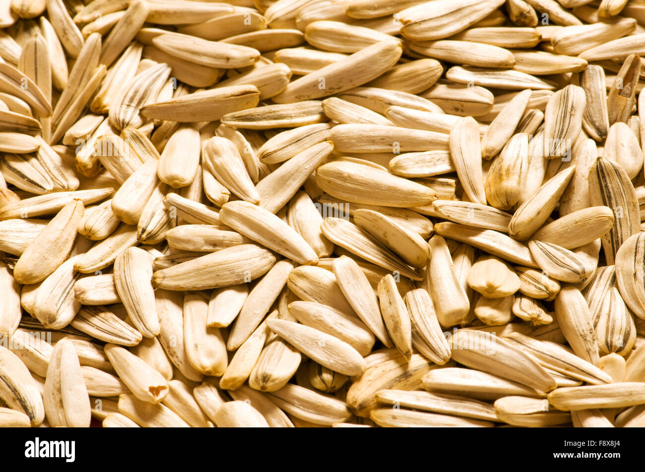 Lots of sunflower seeds arranged as background Stock Photo - Alamy