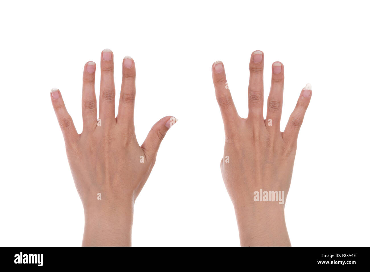 hands show the number nine isolated on white background Stock Photo - Alamy